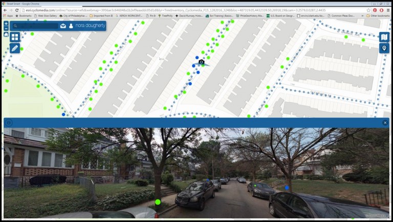 Creating a Street Tree Inventory | Office of Innovation and Technology ...