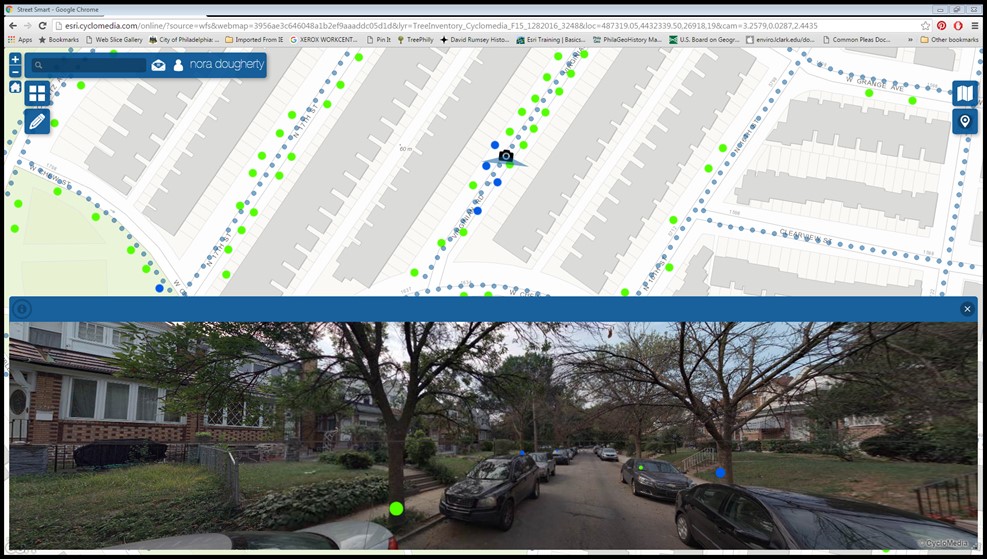 Creating a Street Tree Inventory | Office of Innovation and Technology ...