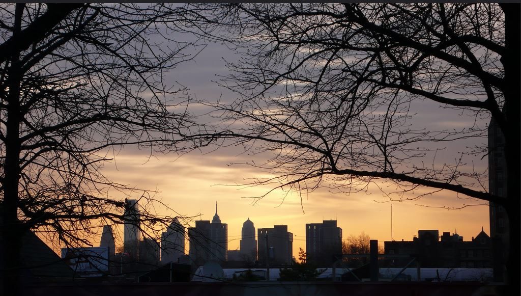 Mapping Philadelphia’s Urban Forest | Office of Open Data and Digital ...
