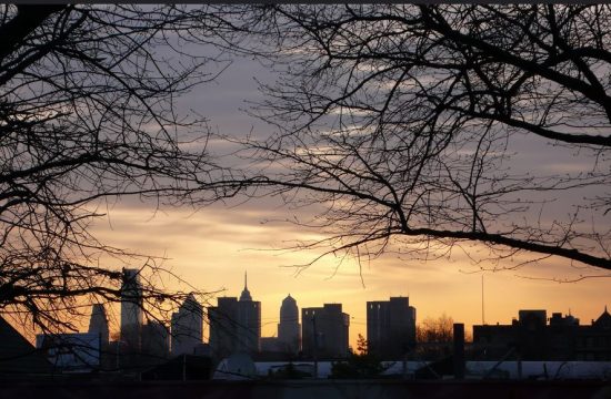 Mapping Philadelphia’s Urban Forest | Office of Open Data and Digital ...