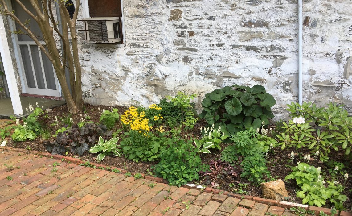 In Bloom: Parks & Rec Native Garden Program | Philadelphia Parks ...