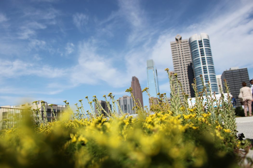 Introducing, From the Ground Up! | Office of Sustainability | City of ...
