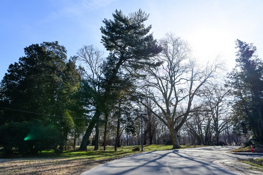 Nature notes: winter foliage in Fairmount Park | Philadelphia Parks ...