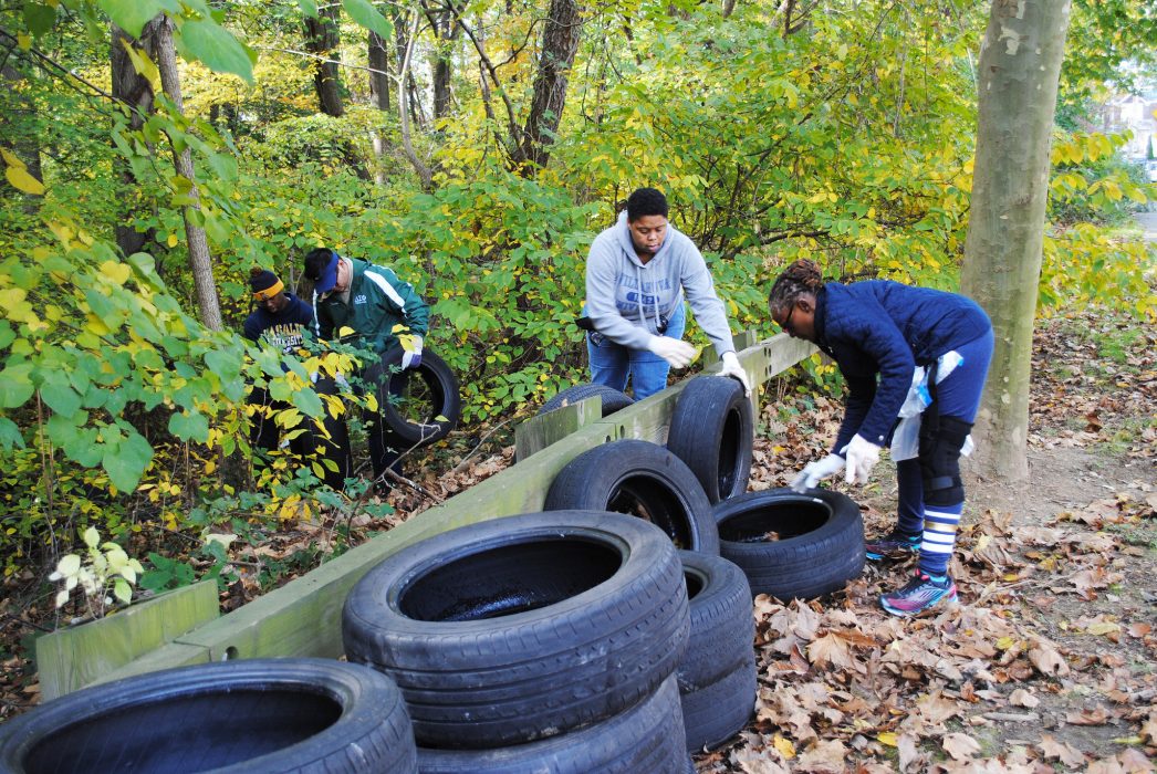Everything you need to know about litter and illegal dumping ...