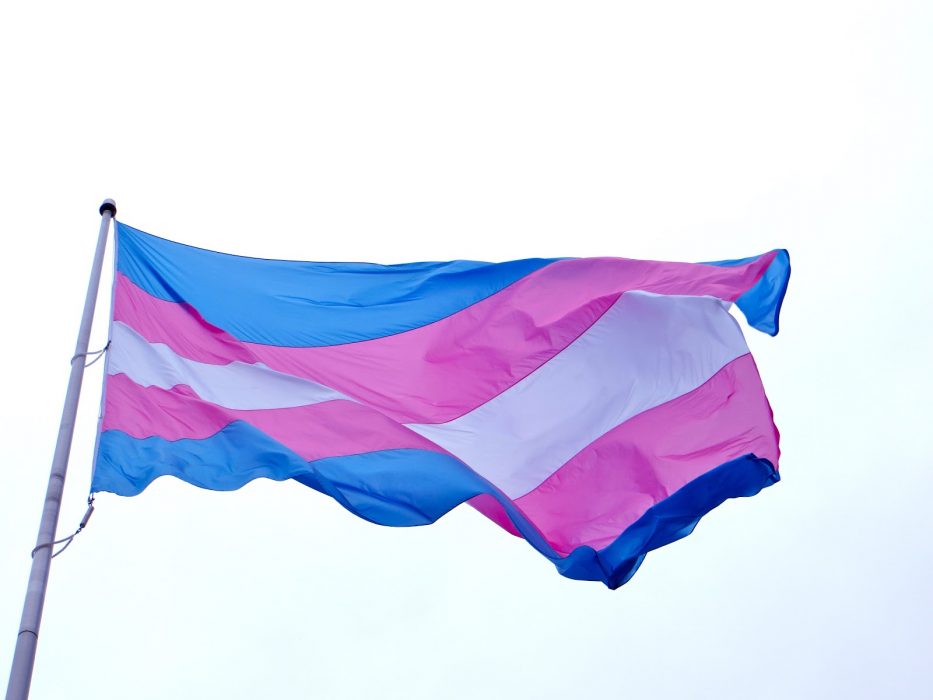 Happy Trans Day of Visibility, Philadelphia! | Office of Diversity ...