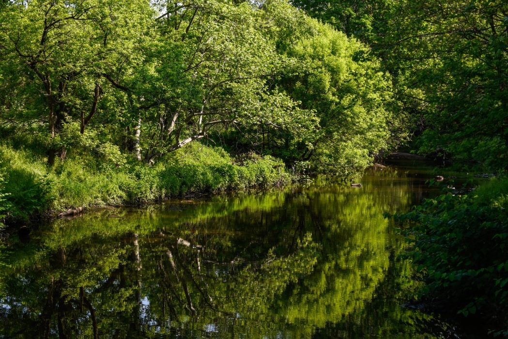 Tips for enjoying Philadelphia’s watershed parks safely this summer ...