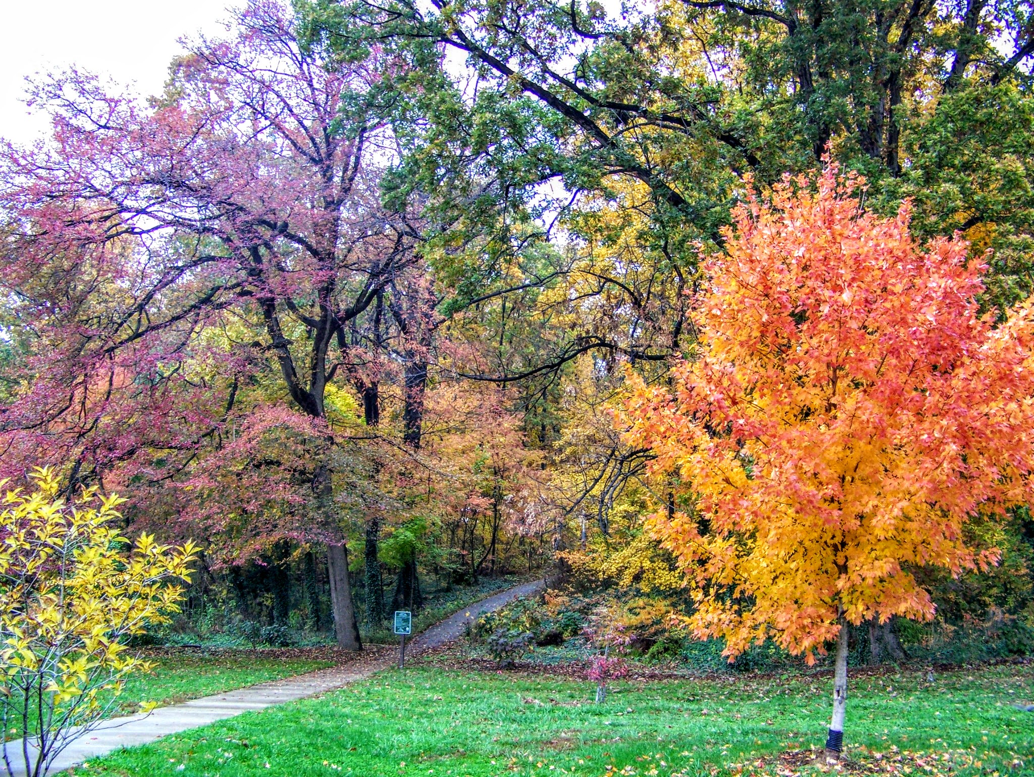 Off the beaten path: Parks & Rec’s picks for fall hikes | Philadelphia ...