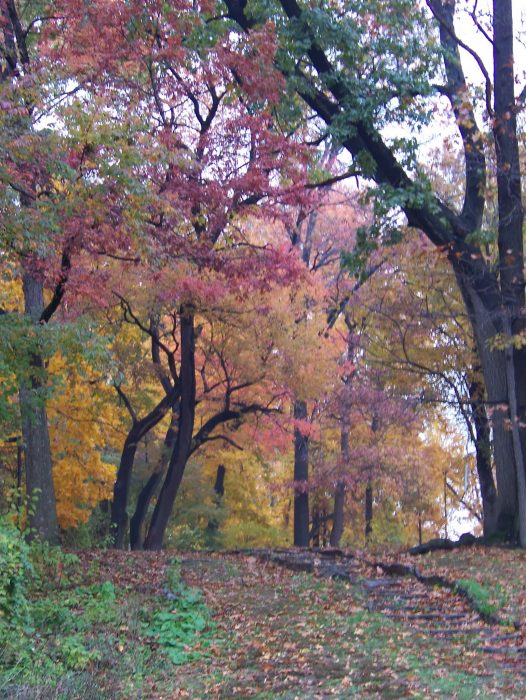 Off the beaten path: Parks & Rec’s picks for fall hikes | Philadelphia ...