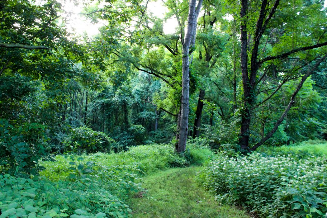 Celebrate Earth Week with Parks & Rec | Philadelphia Parks & Recreation ...