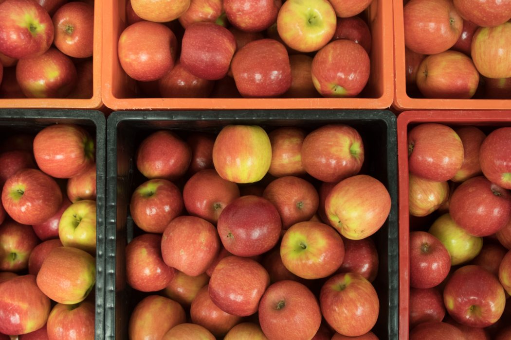 How to start a Summer Meals site for children in your community ...