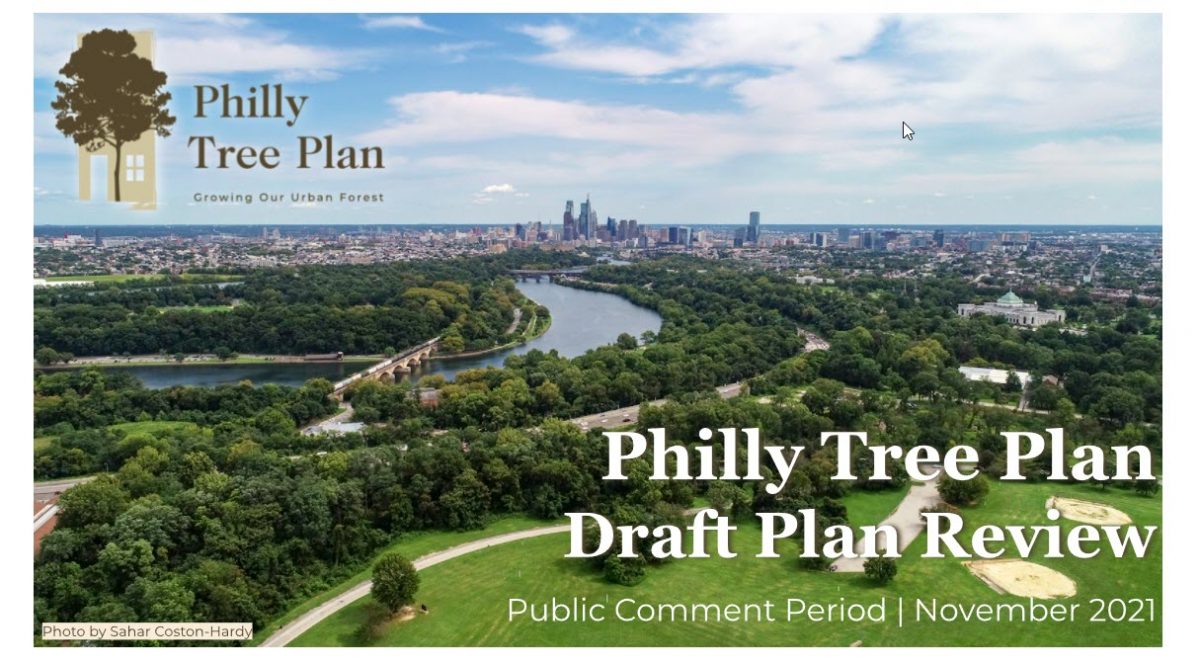 Philly Tree Plan: share your feedback before Dec. 1 | Philadelphia ...