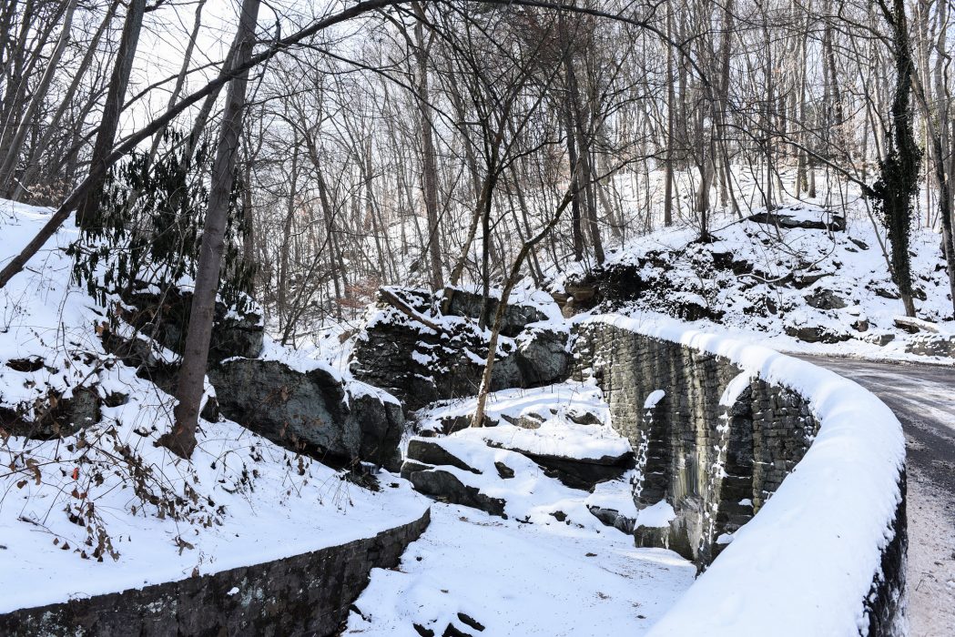 A winter jawn-derland: Parks & Rec’s winter activity guide ...