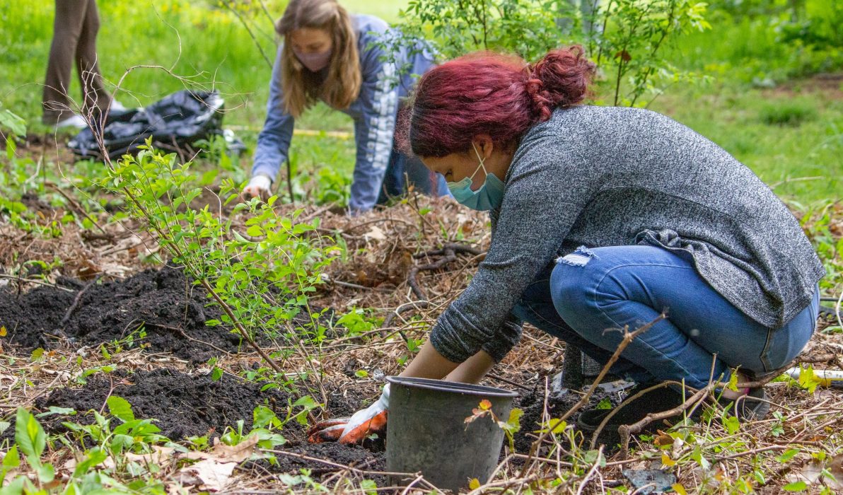Celebrate Earth Day and Arbor Day all month with Parks & Rec and our ...