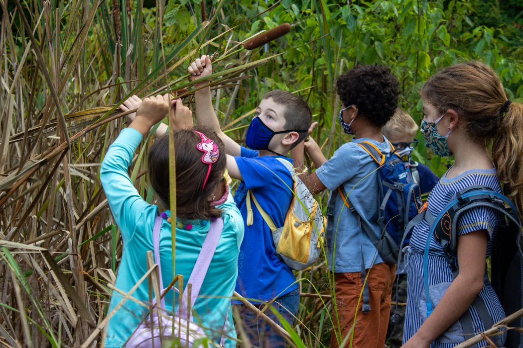 May is for the kids: family and youth events at Parks & Rec sites ...