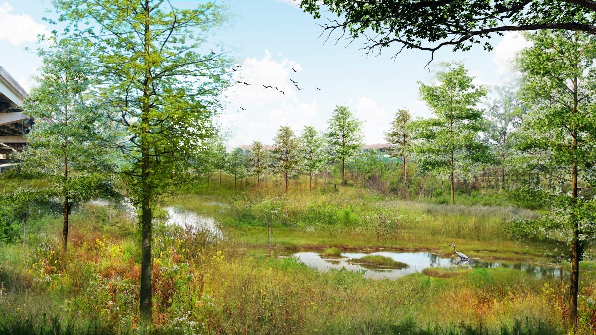 New natural habitats come to FDR Park | Philadelphia Parks & Recreation ...