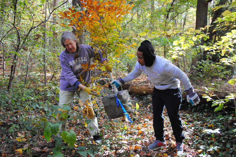 Register for Love Your Park Fall Service Day | Philadelphia Parks ...