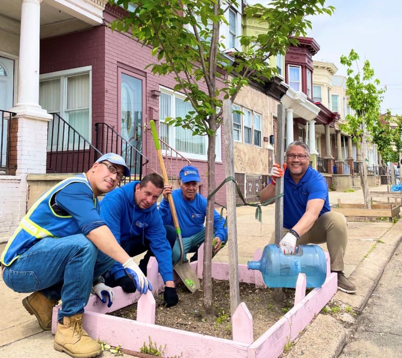 Growing tree canopy in commercial areas across the city | Department of ...