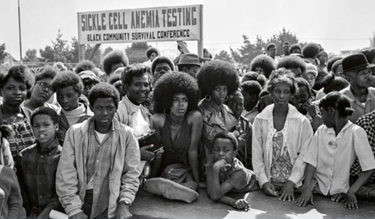 Comrade Sisters: Women of the Black Panther Party Panel Discussion ...