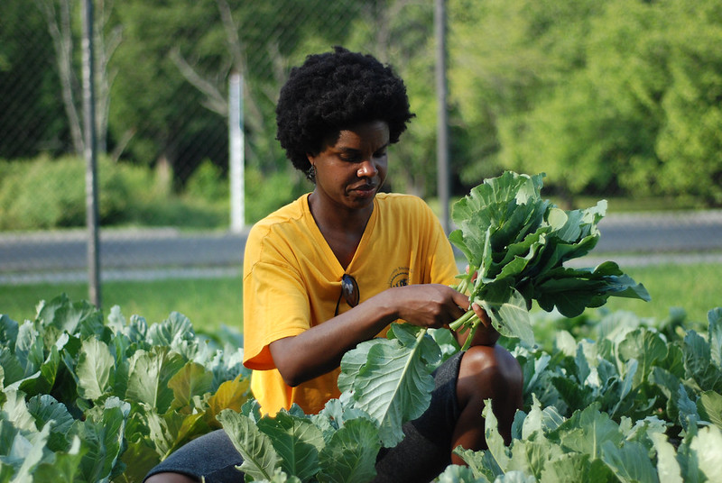 Philadelphia’s first-ever urban agriculture plan | Philadelphia Parks ...