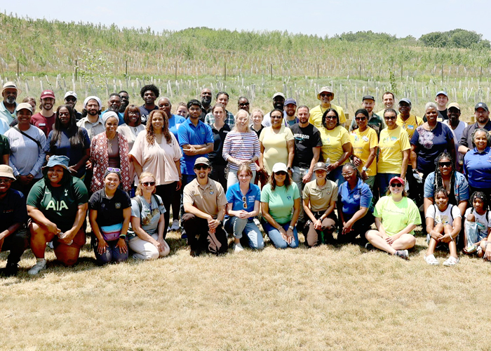 Eastwick: From Recovery to Resilience | Programs and initiatives | City ...