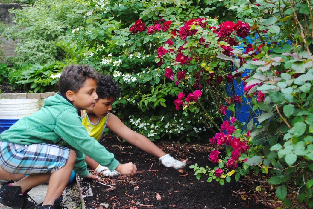Love Your Park Week 2024: Everything you need to know | Philadelphia ...