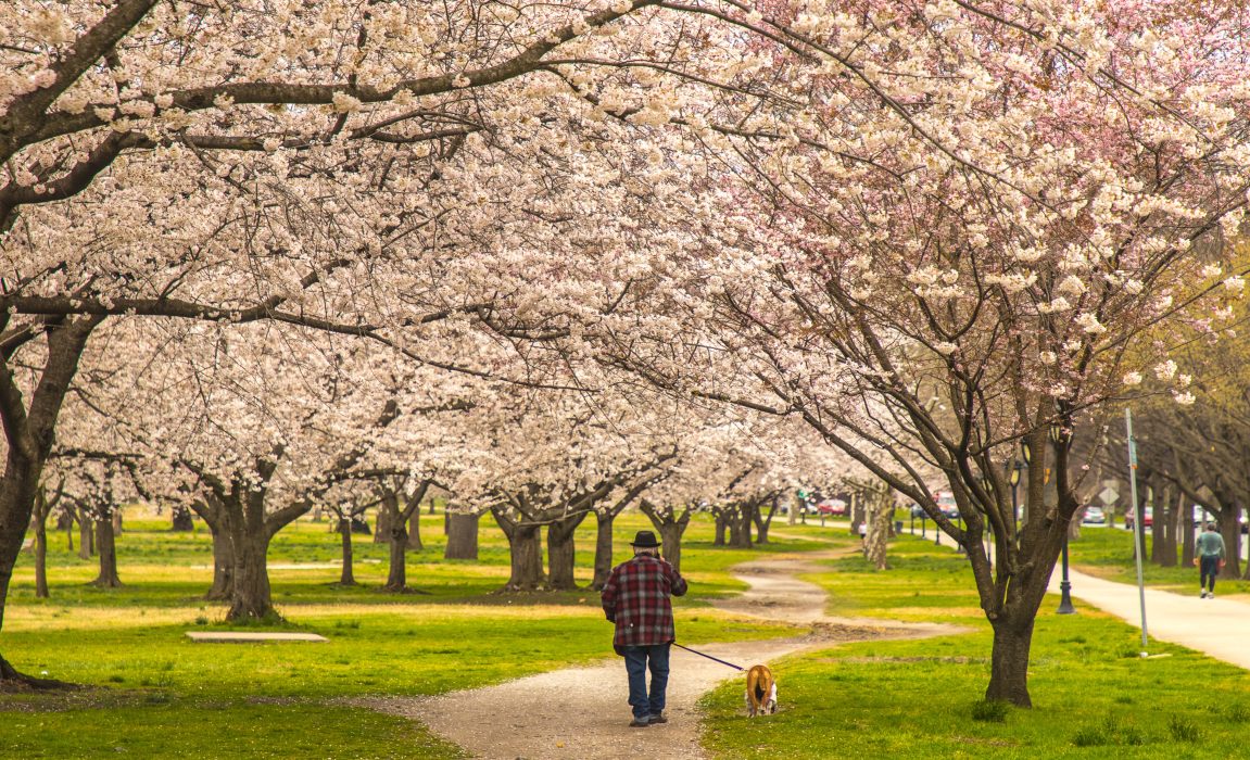 When You Lose a Loved One: How to Update Your Property Deed ...