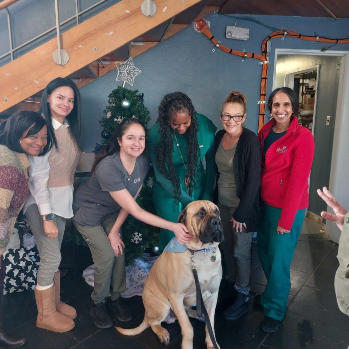 How therapy dogs are transforming lives in Philadelphia prisons ...