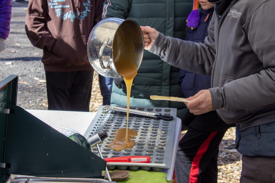Spring Into March: Events and Activities Across Philadelphia Parks ...